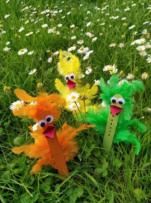 PTAČÍ ZÁPICH | LUMA trading s.r.o.