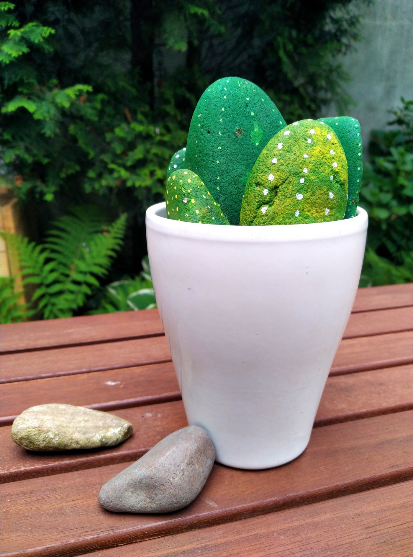 KAKTUS Z OBLÁZKŮ | LUMA trading s.r.o.